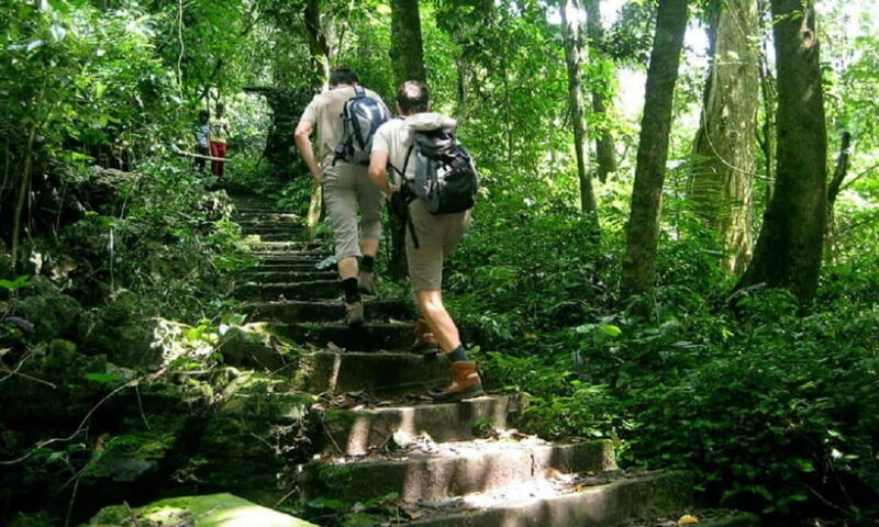 From Ninh Binh: Cuc Phuong National Park Day Trip with Lunch - Key Points
