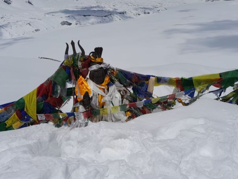 From Pokhara: Private 5-Day AnnapurnaBasecamp Trek - Key Points