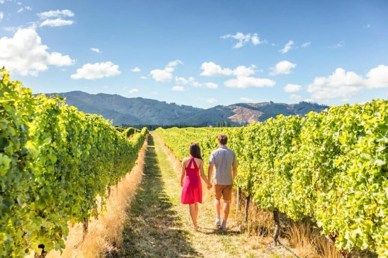 From San Francisco: Alcatraz Night Tour, Muir Woods and Wine - Key Points