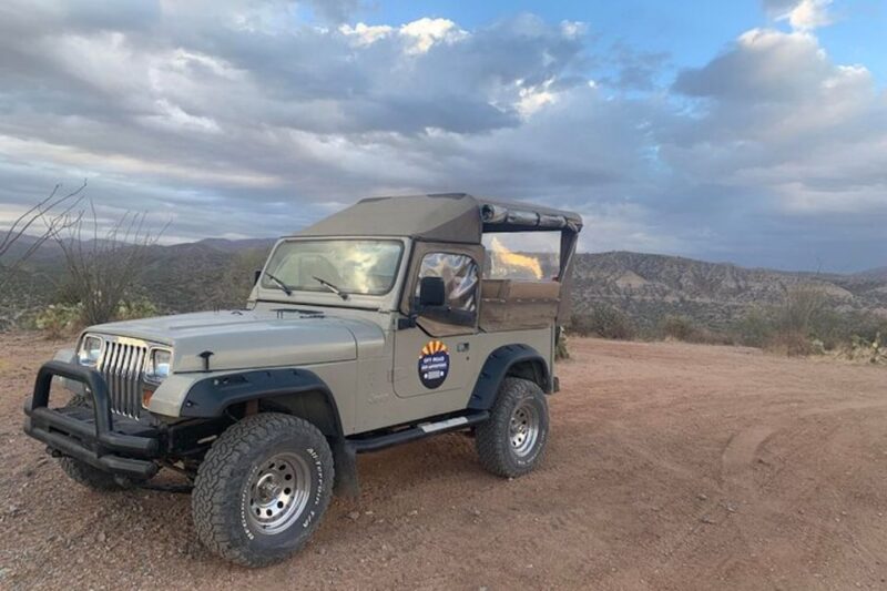 From Scottsdale: Sonoran Desert & Tonto National Forest Trip - Exploring the Sonoran Desert & Tonto National Forest: A Practical Guide