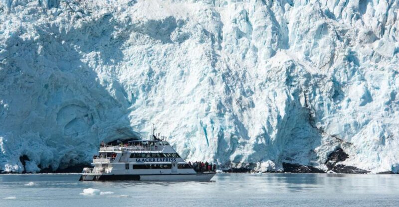 From Seward: Kenai Fjords National Park Cruise with Lunch - Key Points