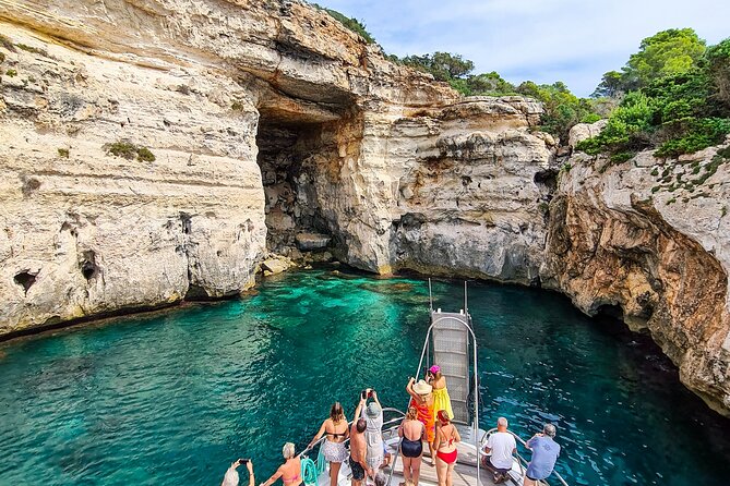 Full Day Boat Tour Transfers & Lunch Included - Experience Details