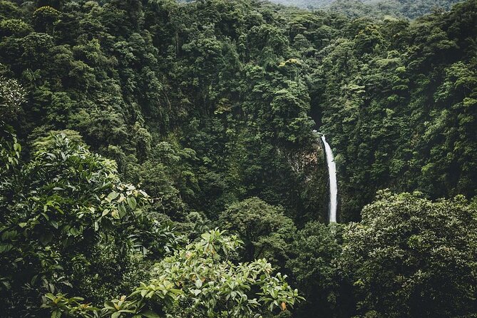 Full Day Tour With Safari Float, Waterfall and Volcano Hike - Key Points
