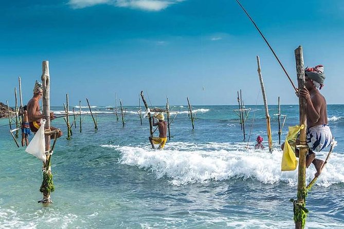Galle Transfer from Airport or Colombo by private taxi - Introduction: What to Expect from This Galle Transfer Service
