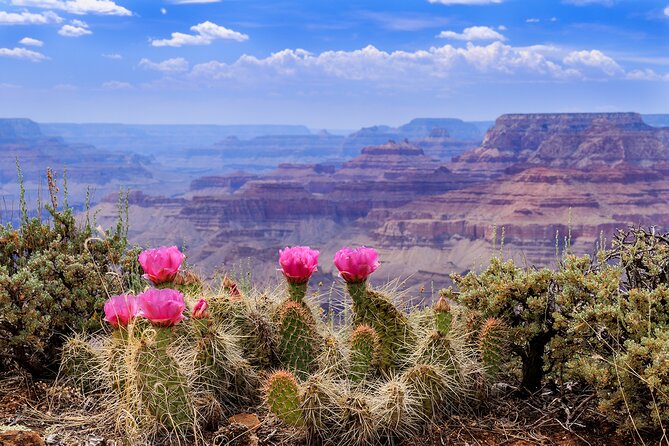 Grand Canyon, Antelope, Bryce & Zion, 3-Day Tour From Vegas - Key Points