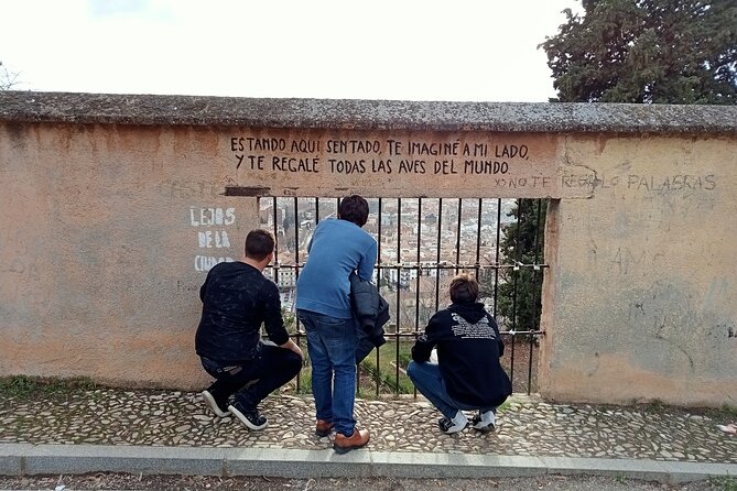 Guided Walking Tour With Panoramic Views and Terraces of Granada - Tour Overview
