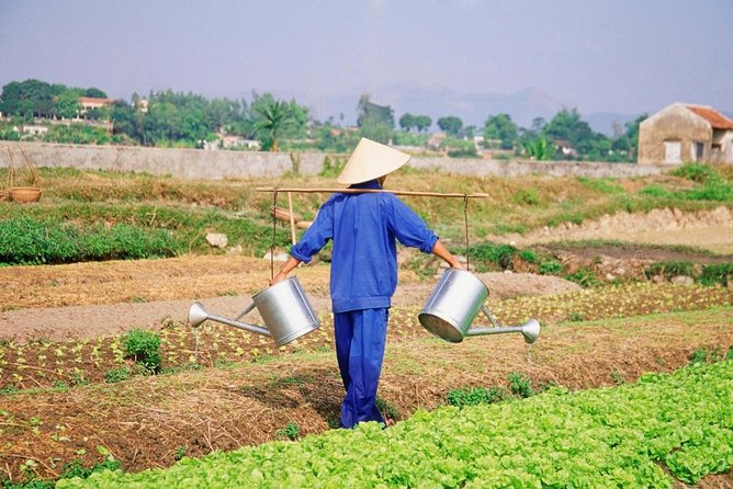 Half-day Electric Scooter Countryside Adventure In Hoi An - Introduction: A Unique Way to See Hoi An
