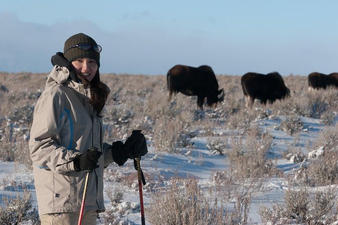 Half Day Grand Teton Wildlife Safari Tour - Discover the Half Day Grand Teton Wildlife Safari Tour