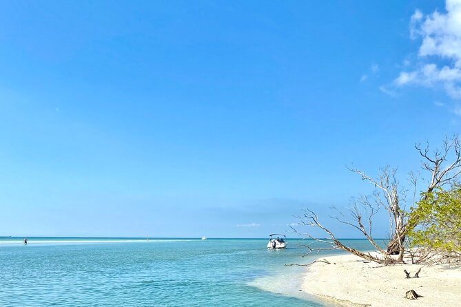 Half-Day Private Tiki Boat Beach Tour from Fort Myers - Why Choose this Tiki Boat Beach Tour?