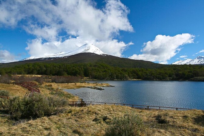 Half-Day Tierra Del Fuego National Park With Train - Key Points