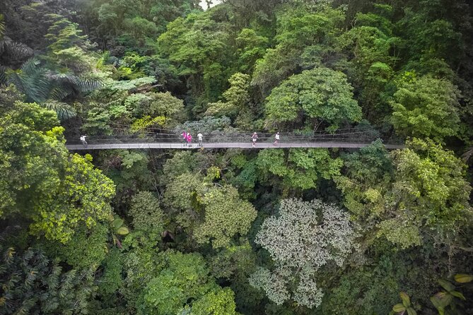 Half-Day Tour With Hanging Bridges and La Fortuna Waterfall - Highlights of the Tour