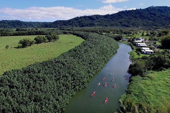 Hanalei Bay Morning Kayak and Snorkel Tour - Who Is This Tour Best For?