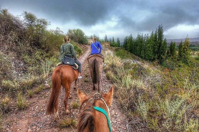 Horseback Ride Through Vineyards Followed by Gourmet Lunch/Dinner - Key Points