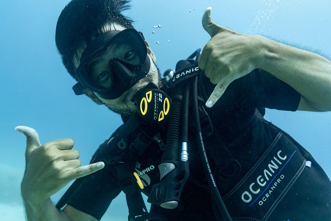 Incredibly Fun 2-Tank Coral Reef South Shore Boat Dive in Oahu from Waikiki - What to Expect from the Coral Reef Boat Dive Experience