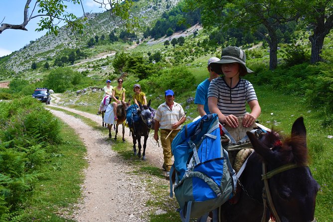 Jeep Safari Berat Hiking Caravan Mule in Tomori Holy Mount - Tour Overview