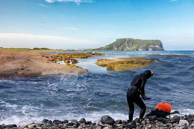 Jeju Island East UNESCO Day Tour - Key Points