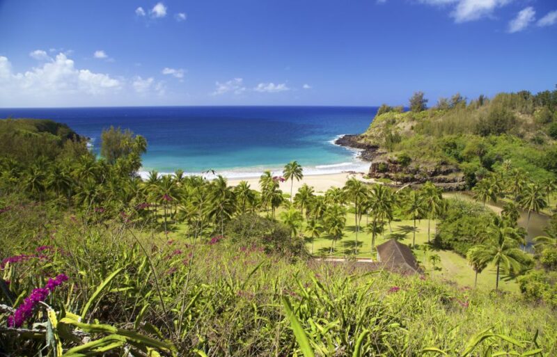 Kauai: Allerton Garden Guided Group Walking Tour - What Makes the Allerton Garden Guided Tour Stand Out?