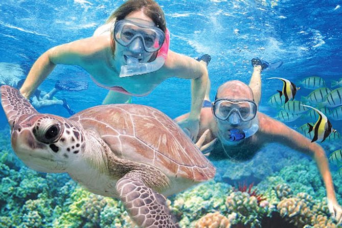 Kauai’s Ultimate Guided Shore Snorkel: South Poipu - Key Points