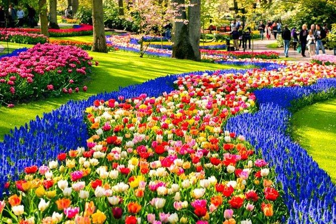 Keukenhof Skip-The-Line Tickets Countryside & Farm, Private Tour - About Your Stay