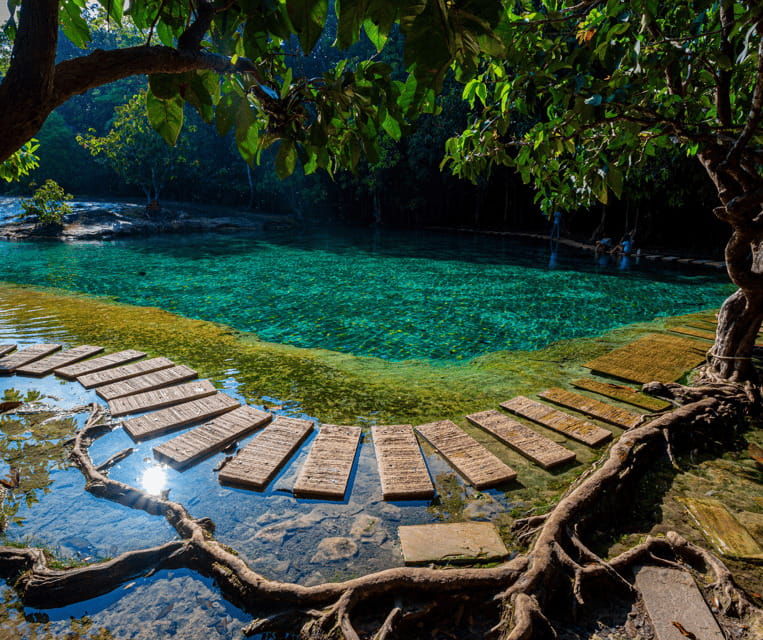 Krabi: Rainforest Jungle Tour with Emerald Pool & Hot Spring - An In-Depth Look at the Jungle Tour