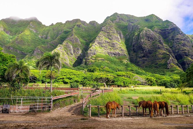 Kualoa Ranch: Jungle Expedition Tour - An Off-Road Adventure into Oahu’s Wild Heart