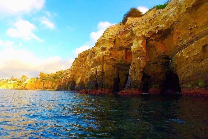 La Jolla Sea Caves Kayak Tour For Two (Tandem Kayak) - Exploring the La Jolla Sea Caves Kayak Tour