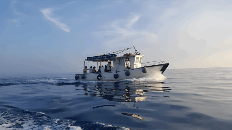 La Spezia, Boat Tour Portovenere, Snorkeling and Aperitif - Key Points