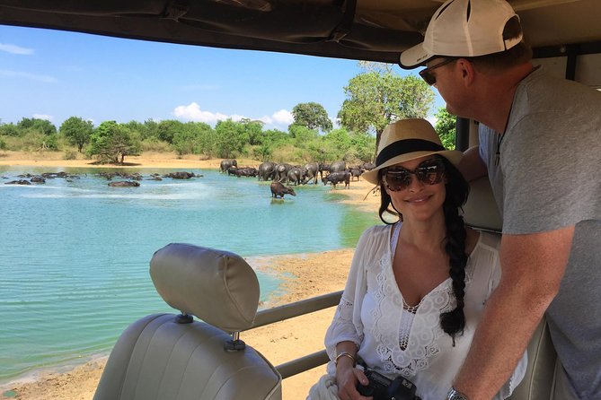 Leopard Safari Tour in Yala National Park - Introduction