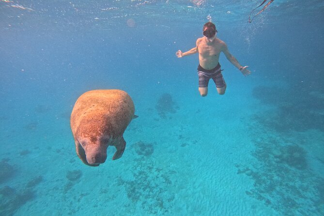 Lets Snorkel Hol Chan the Best Marine Reserve in Belize - Key Points