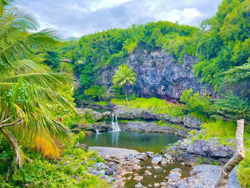 Maui: VIP Road to Hana Private Tour in Convertible Bronco - Key Points