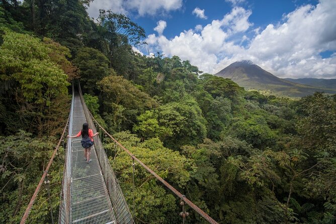 Mistico Hanging Bridges Tour With Lunch and Hotsprings - Key Points