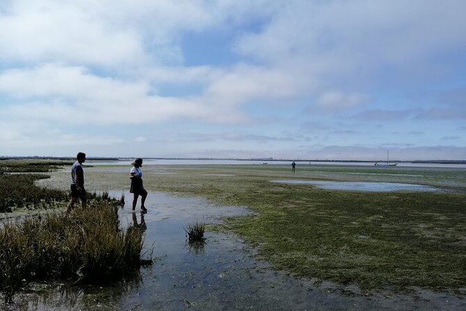 Moliceiro Boat Tour Through the Ria De Aveiro! - Tour Overview