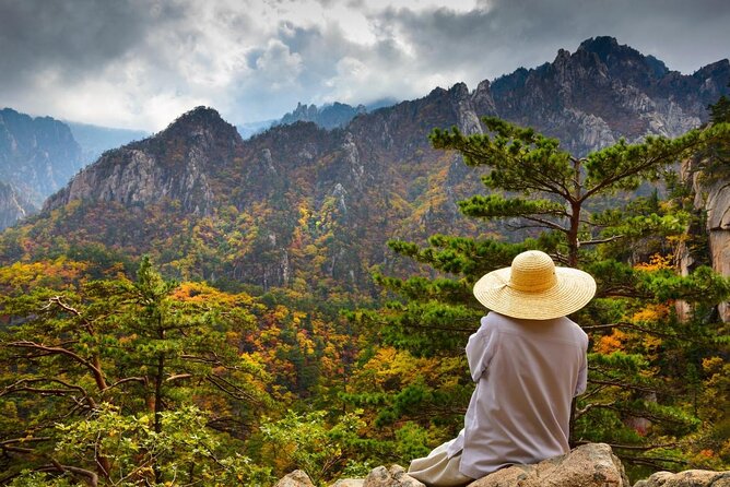 Mount Seorak and Naksansa Temple One Day Tour from Seoul - Key Points