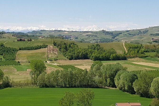 Museo delle Langhe Entrance Ticket - Exploring the Museo delle Langhe Entrance Ticket: A Genuine Look at a Piedmont Gem