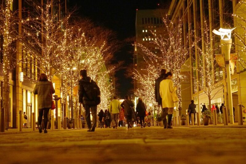 Nashvilles Holiday Harmony: A Christmas Melody Tour - Key Points