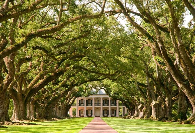 N’awlins Luxury: Laura, Oak Alley or Whitney Plantation Tour w/Transportation - N’awlins Luxury: Laura, Oak Alley or Whitney Plantation Tour w/Transportation — A Deep Dive