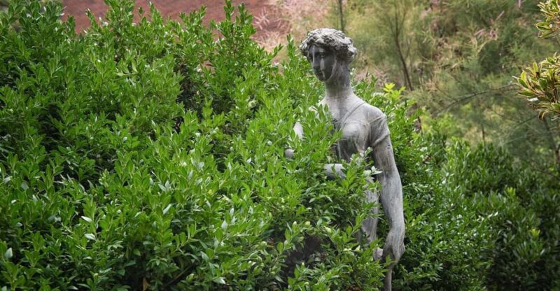 New York City: The Garden Photo Tour - A Deeper Look at The Garden Photo Tour