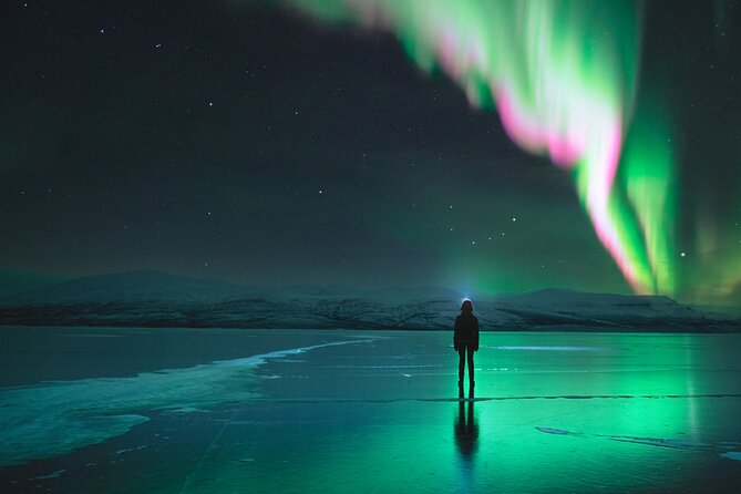 Northern Lights Photo Expedition Dinner Included From Abisko - Key Points