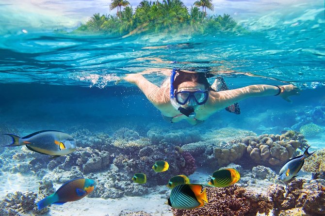 Nusa Lembongan Island: Snorkeling & Mangrove Forest Day Tour - Discovering Nusa Lembongan: The Snorkeling & Mangrove Forest Day Tour