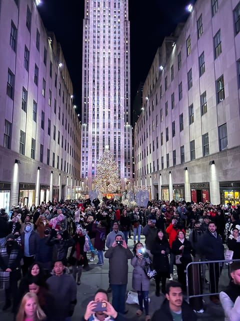 NYC: Christmas Lights Horse Carriage Ride - Key Points