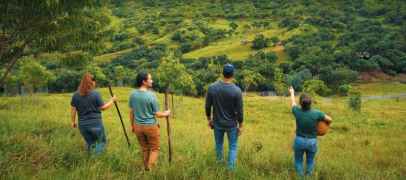 Oahu: Kualoa Ranch Malama Sustainability and Gardening Tour - Introduction: A Hands-On Taste of Kualoa Ranch