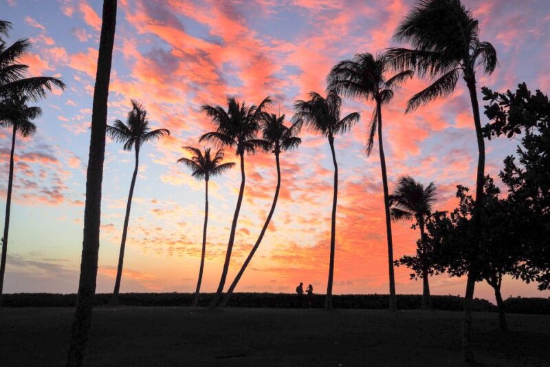Oahu: Sunset Cruise of West Oahu with Drinks and Appetizers - Key Points