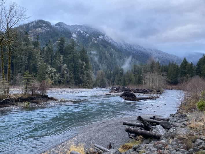 Olympic National Park: Half-Day Tour - Introduction