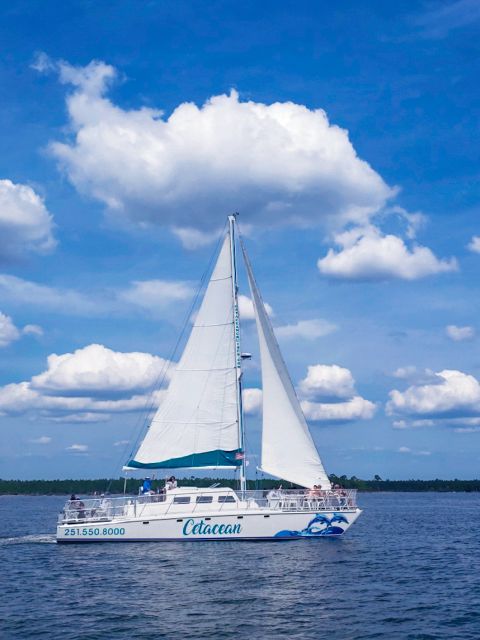 Orange Beach: Dolphin & Sailing Cruise Aboard 52' Catamaran - Key Points