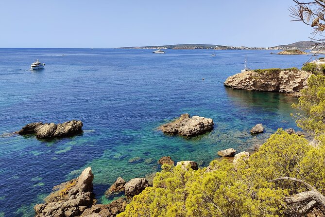 Palma De Mallorca: Small Group Tour by Locals in Hidden Coves - Key Points