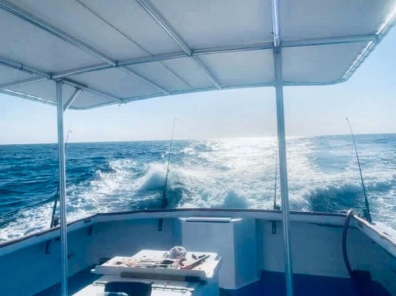 Panama City Beach: Private Dolphin Cruise - Key Points