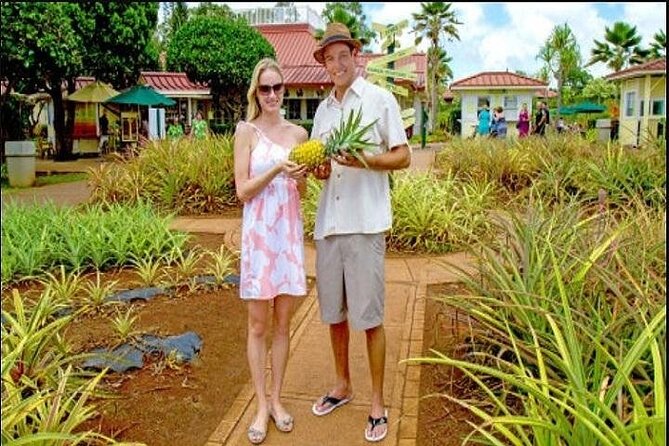 Pearl Harbor, Dole Plantation, and Polynesian Center From Kauai - Key Points