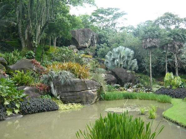 Pedra Do Telégrafo Hiking Tour ( Telegraph Rock - Avoid Crowds) - Rio De Janeiro - Key Points