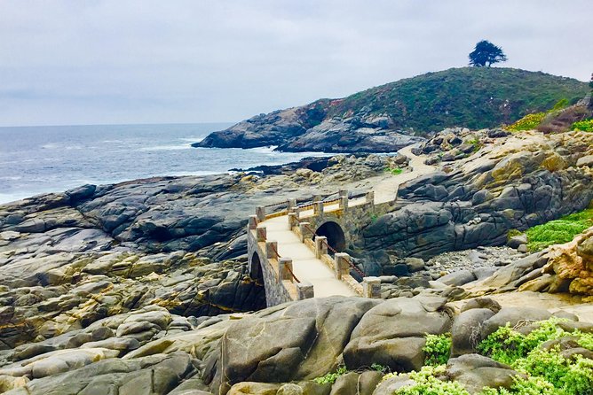 Penguins,Sea Lions,Sand Boarding,Paragliding Chilean Food &Drinks - Tour Overview