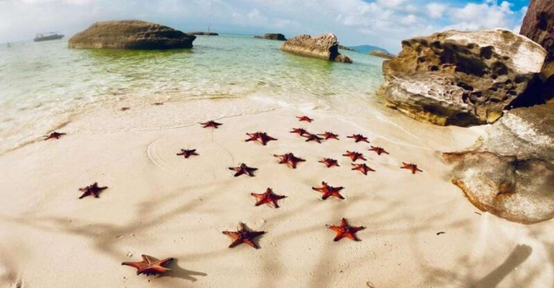 Phu Quoc: Kayaking with Starfish Beach and Bee Farm Tour - Key Points
